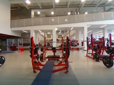 Best of Brock - The Zone - Free Weight Area