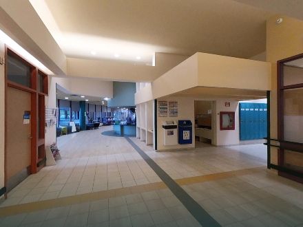 Student Services - Accessibility, Counselling and Wellness