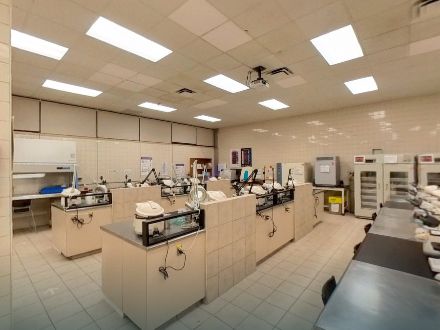 School of Health Sciences, Nursing, and Emergency Services - Medical ...