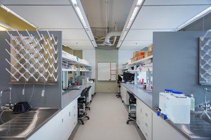 Full Tour - The Bruin Laboratory
