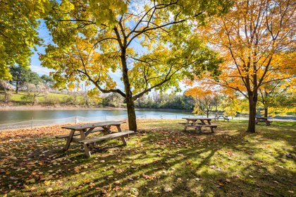 Kitchener-Doon Campus - Doon Pond