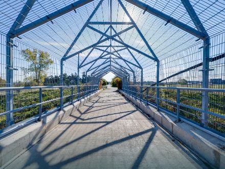 Cambridge Campus - Bridge