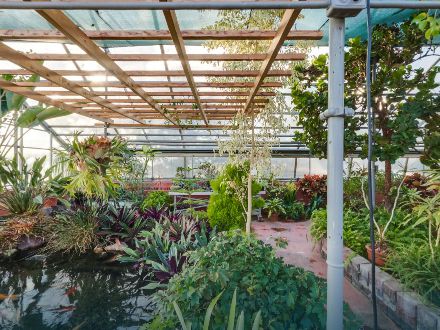 Agriculture - Collins Horticultural Building - Greenhouse