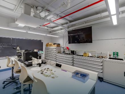 Science - Earth Sciences Lab