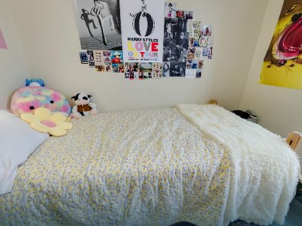 Howe Hall - Bronson House Single Room