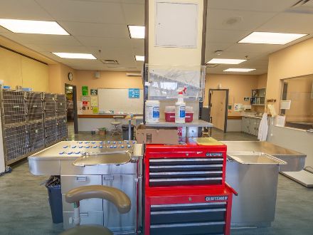 Coquitlam Campus - Veterinary Technology Labs