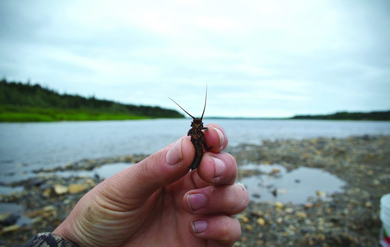 Main Campus - Environmental Solutions at Laurentian