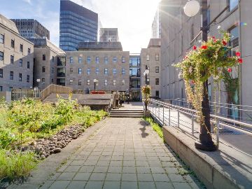 Downtown Campus - Faculty of Science: Otto Maass Chemistry Building
