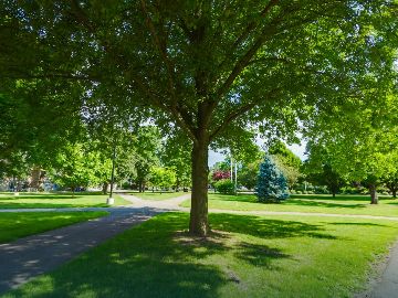 Campus Life - Burke Science Building (BSB) Field