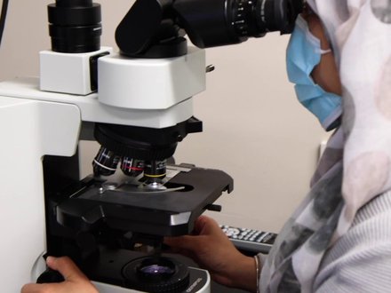 Diagnostic Cytology - Microscopy Lab - Diagnostic Cytology