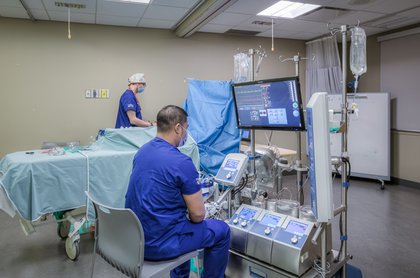 Cardiovascular Perfusion - Cardiovascular Perfusion – Simulation 1