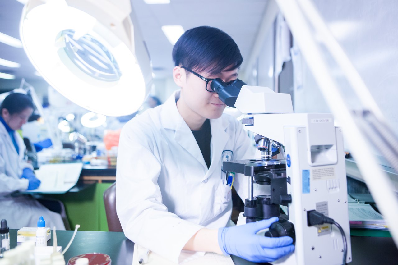 Medical Laboratory Science - Medical Laboratory Science