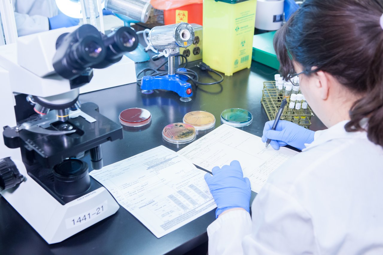 Medical Laboratory Science - Medical Laboratory Science