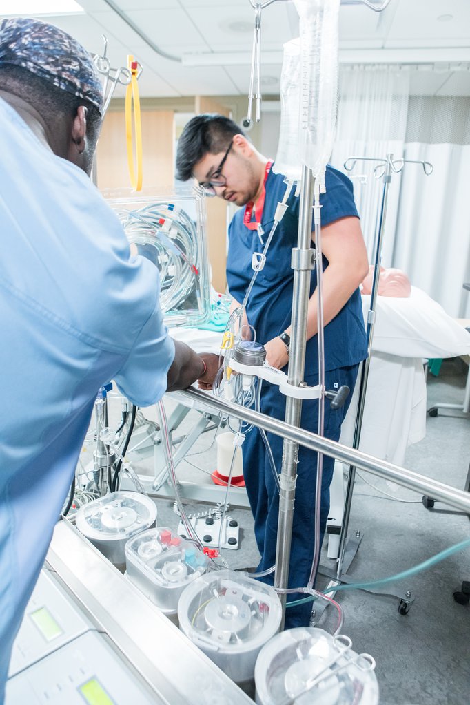 Cardiovascular Perfusion - Cardiovascular Perfusion