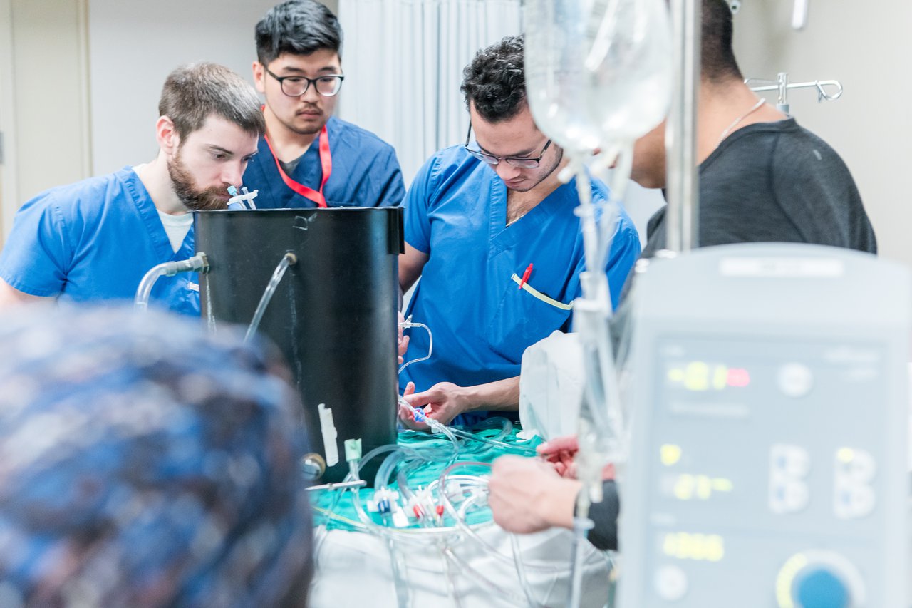 Cardiovascular Perfusion - Cardiovascular Perfusion