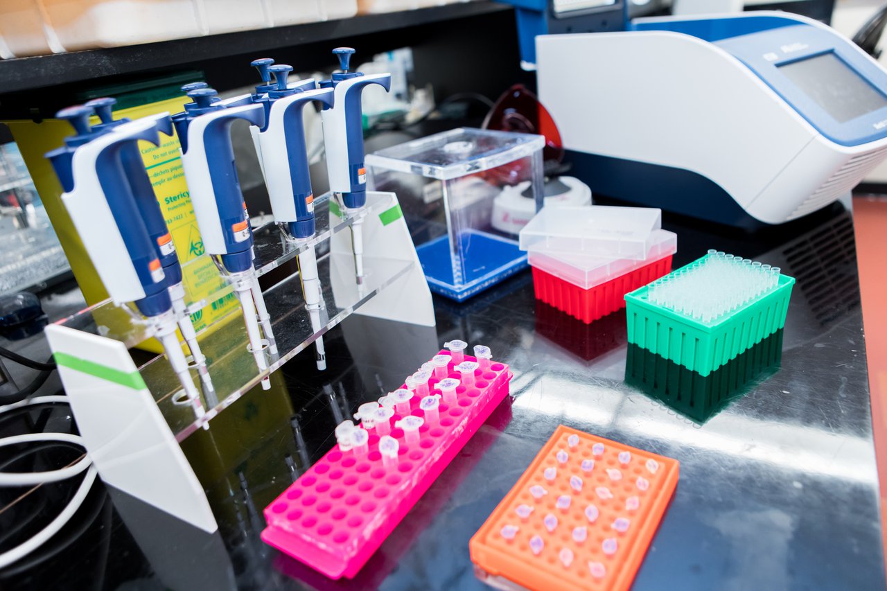 Genetics Technology - Genetics Technology