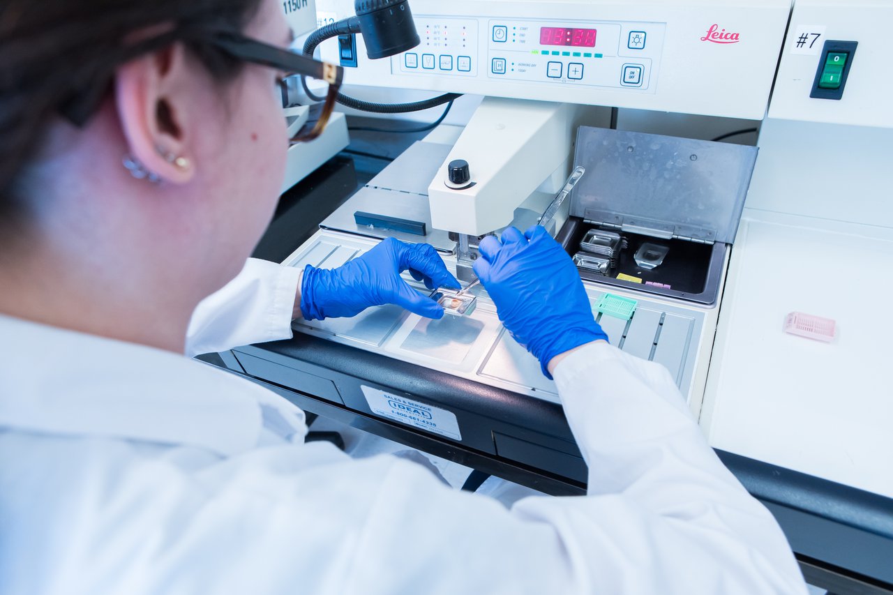 Medical Laboratory Science - Medical Laboratory Science