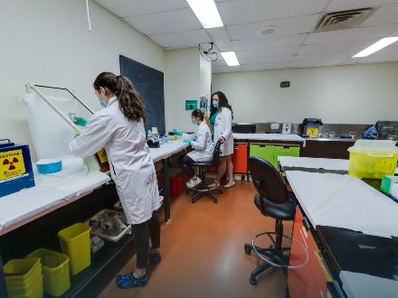 Nuclear Medicine and Molecular Imaging Technology (NMMIT ...