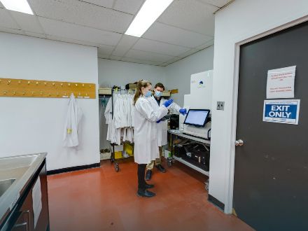 Medical Laboratory Science - Medical Laboratory Science - Microbiology Lab