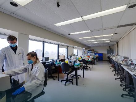 Medical Laboratory Science - Medical Laboratory Science - Histology Lab