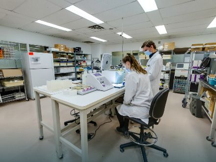 Medical Laboratory Science - Medical Laboratory Science - Transfusion Lab