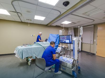 Cardiovascular Perfusion - Cardiovascular Perfusion – Simulation 1