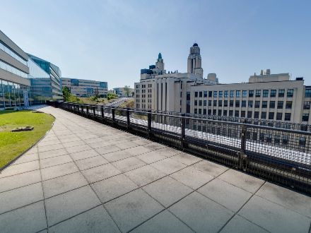 Lassonde buildings: common areas - Food court