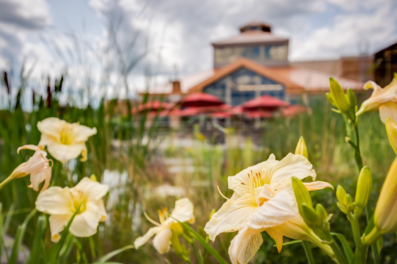 The Village of Erin Meadows - Our Signature Programs
