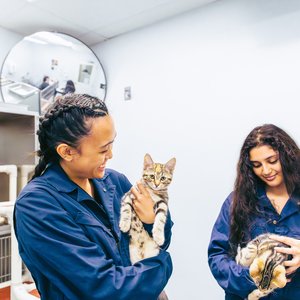 Seneca Polytechnic Virtual Tour - Health & Wellness