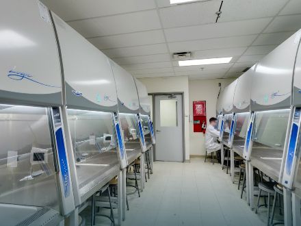 Seneca@York Campus - Biology Lab