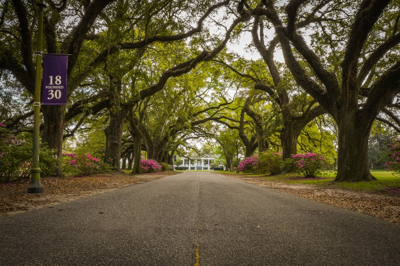 Alumni & Friends - Avenue of The Oaks