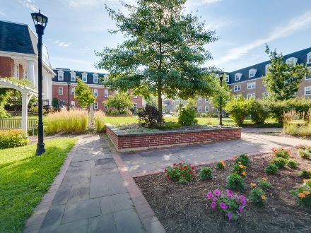 Best of StFX - Jonathan Deitcher Financial Trading Room
