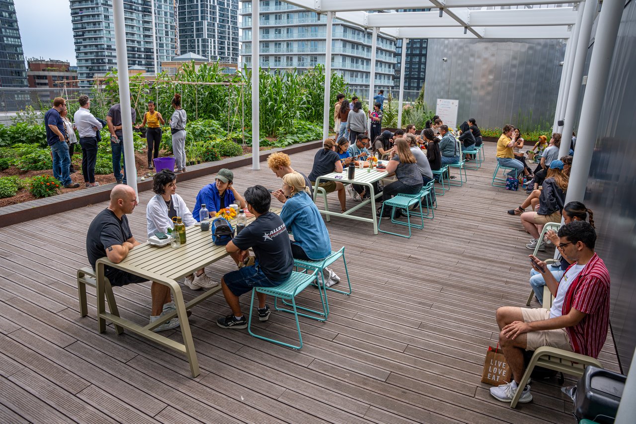 This is TMU - Urban Farm — DCC rooftop farm