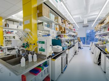 Faculty of Science - TMU MaRS Biomedical Research Facility