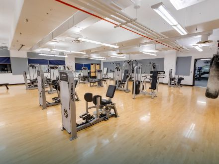 Sports and Recreation - PE | High Performance Training Room