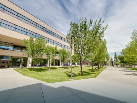 Main Campus - The Courtyard