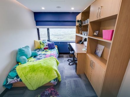 On-Campus Housing - UH | Executive Suite: Large Single Room