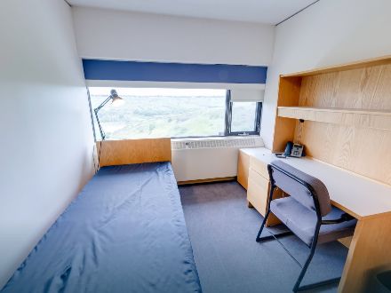 On-Campus Housing - UH | Suite: Single Room