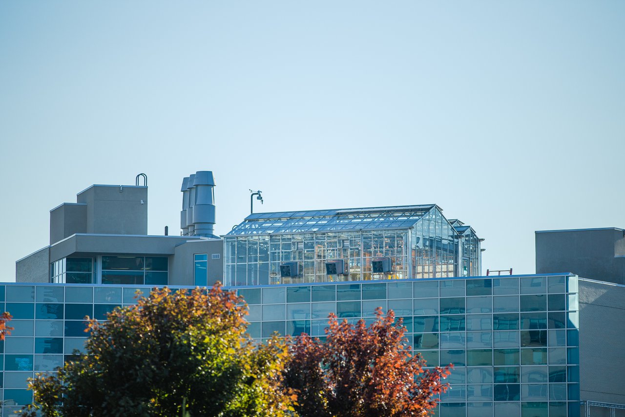 Faculty of Science - Faculty of Science