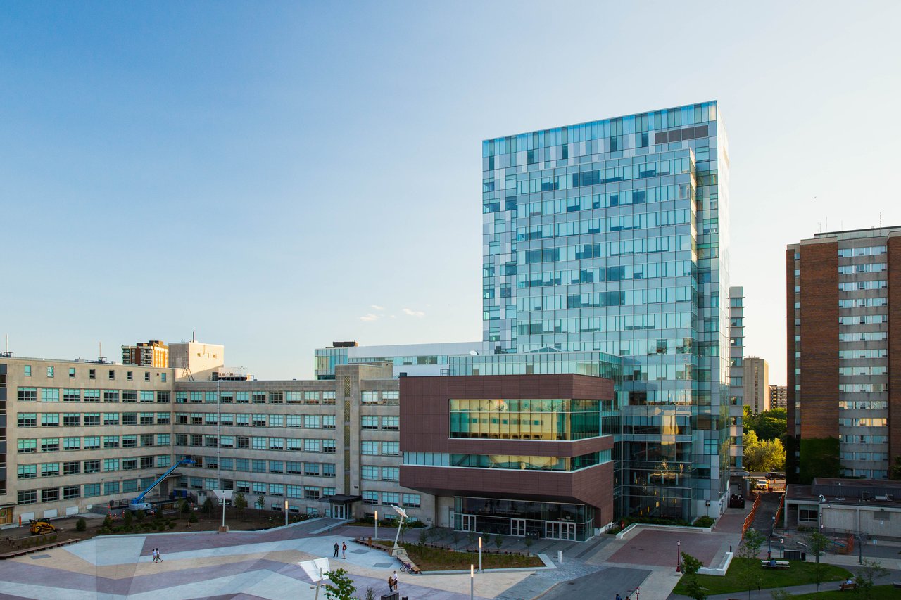 Faculty of Social Sciences - Faculty of Social Sciences