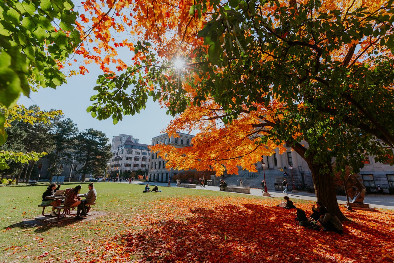 What sets uOttawa apart - Graduate Studies