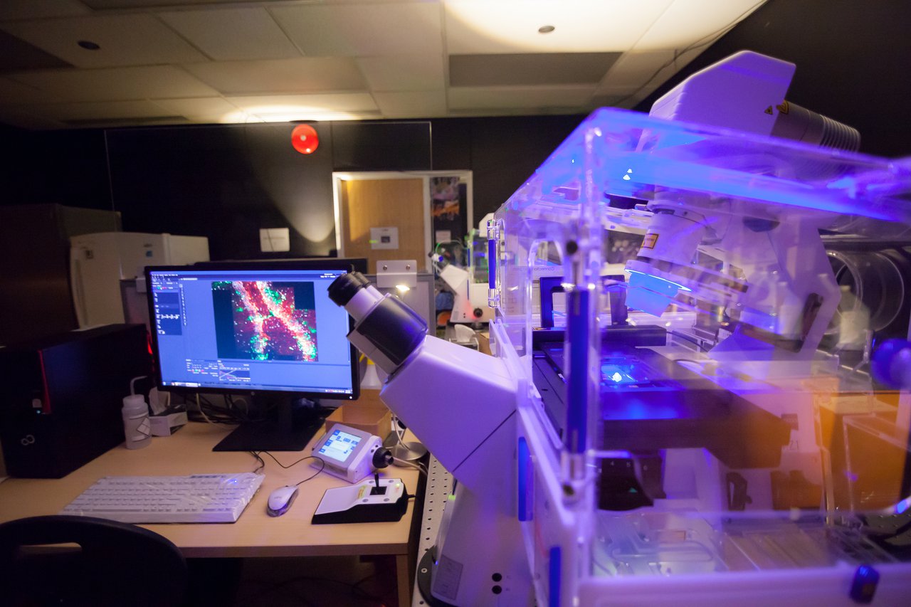 Faculty of Medicine - RGN - Research at the Faculty of Medicine