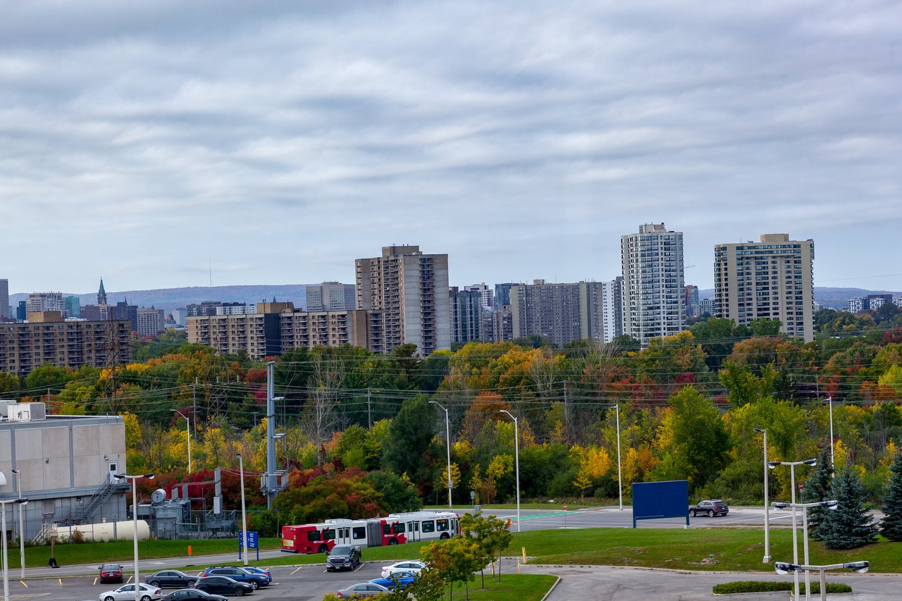 Faculty of Medicine - Faculty of Medicine