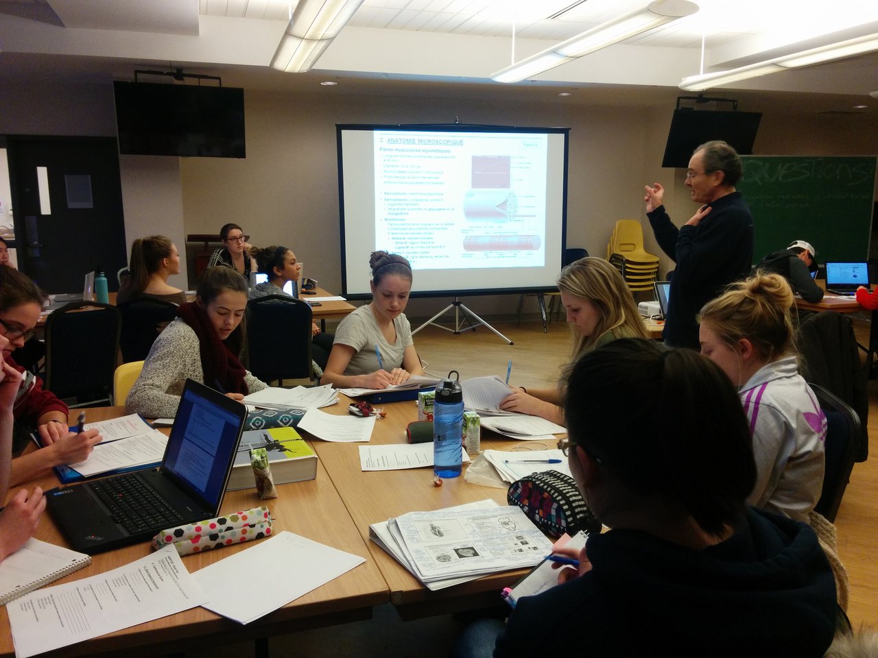 Faculty of Social Sciences - Academic Support