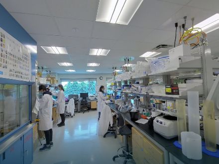 What sets uOttawa apart - RGN – Open-concept lab