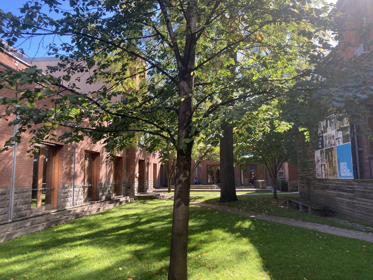 Woodsworth College - Bronfman Courtyard