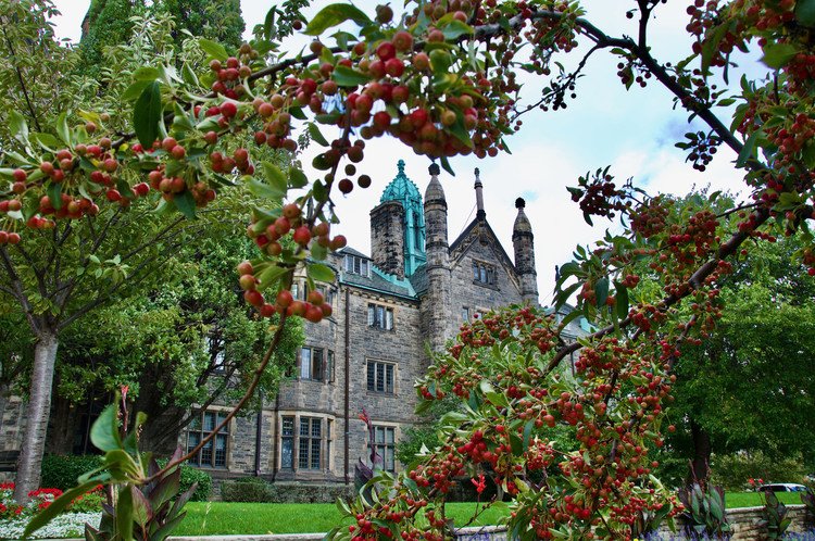 The Faculty of Arts & Science - The Colleges