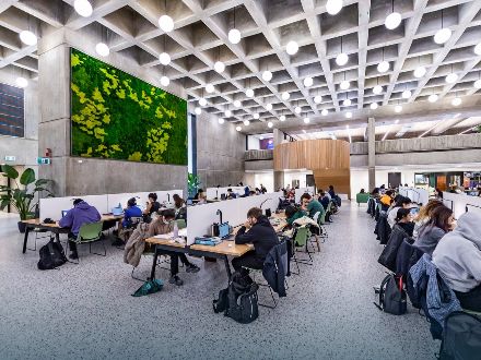 Campus Life - The D.B. Weldon Library