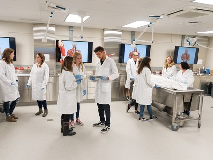 Academics - Cadaver Lab