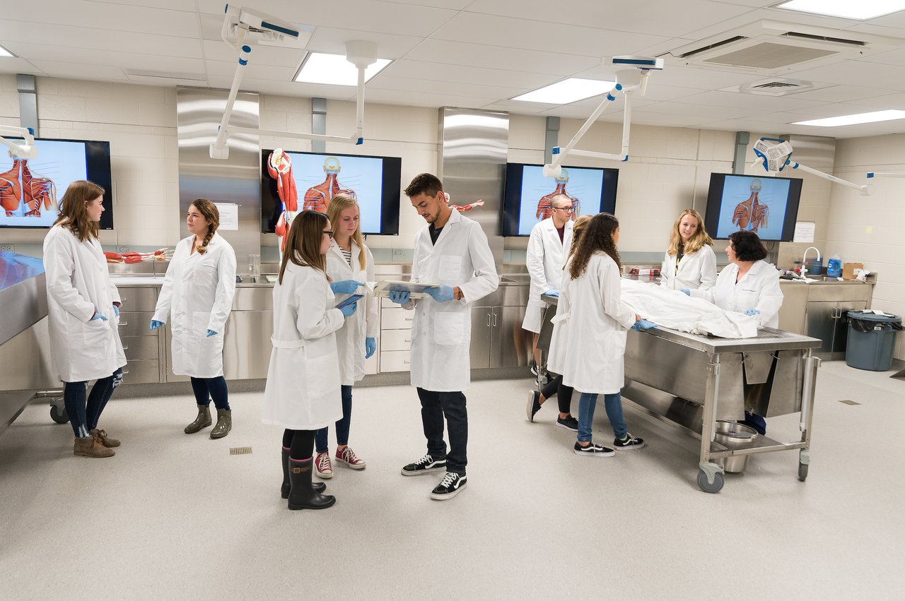 Academics - Cadaver Lab